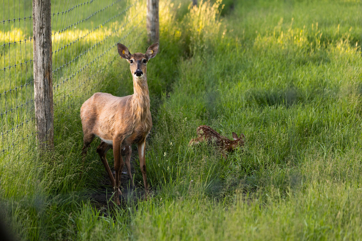 Contact – ConQuest Scents