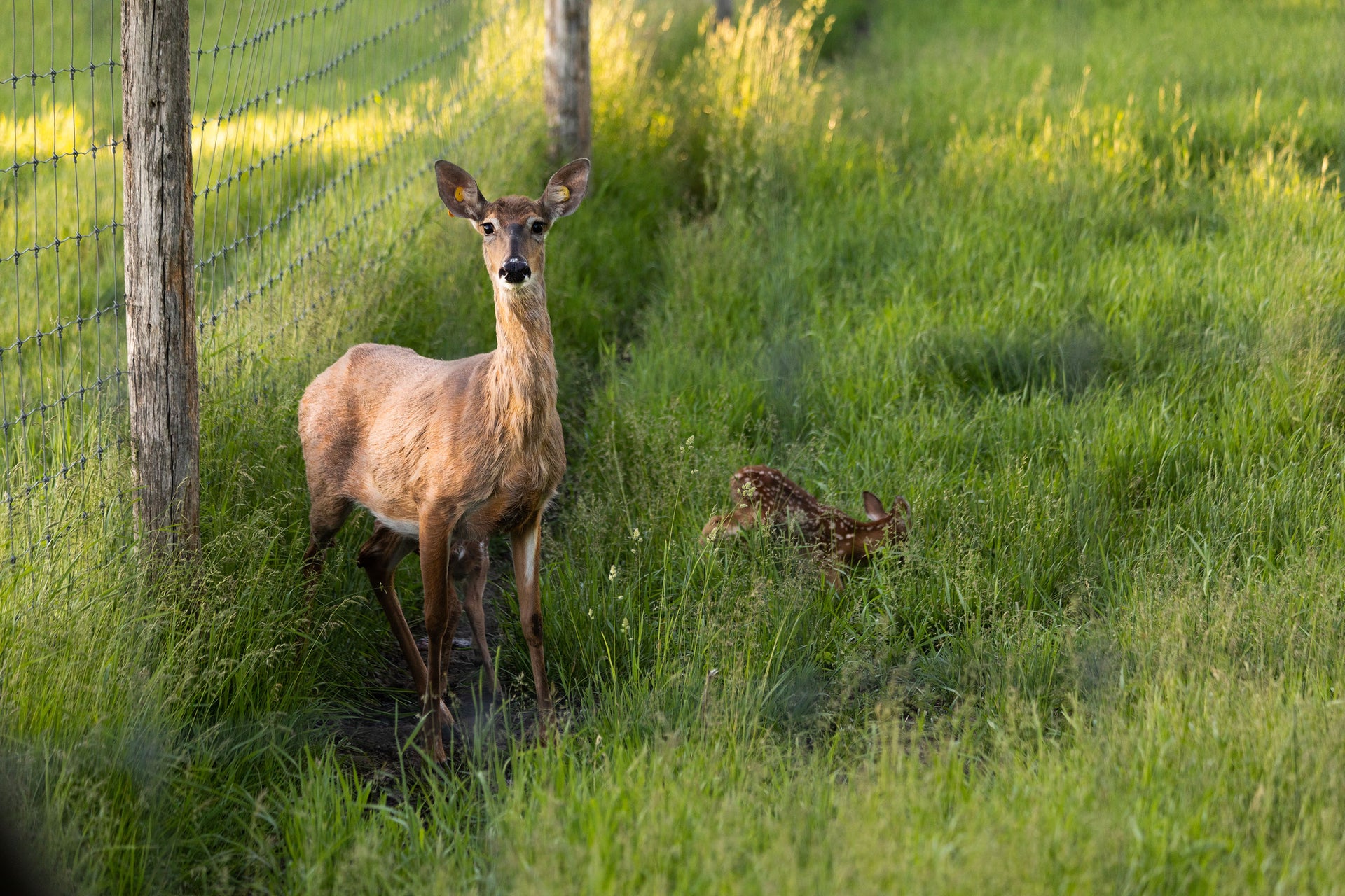 Contact – ConQuest Scents