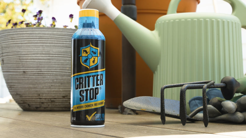 Critter Stop Pest Barrier – ConQuest Scents